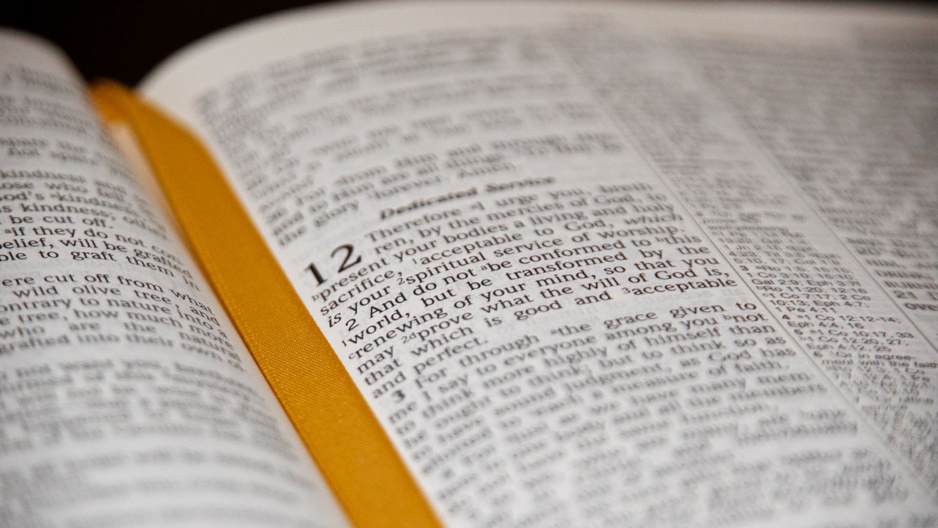 Home | ScriptureTalk.com